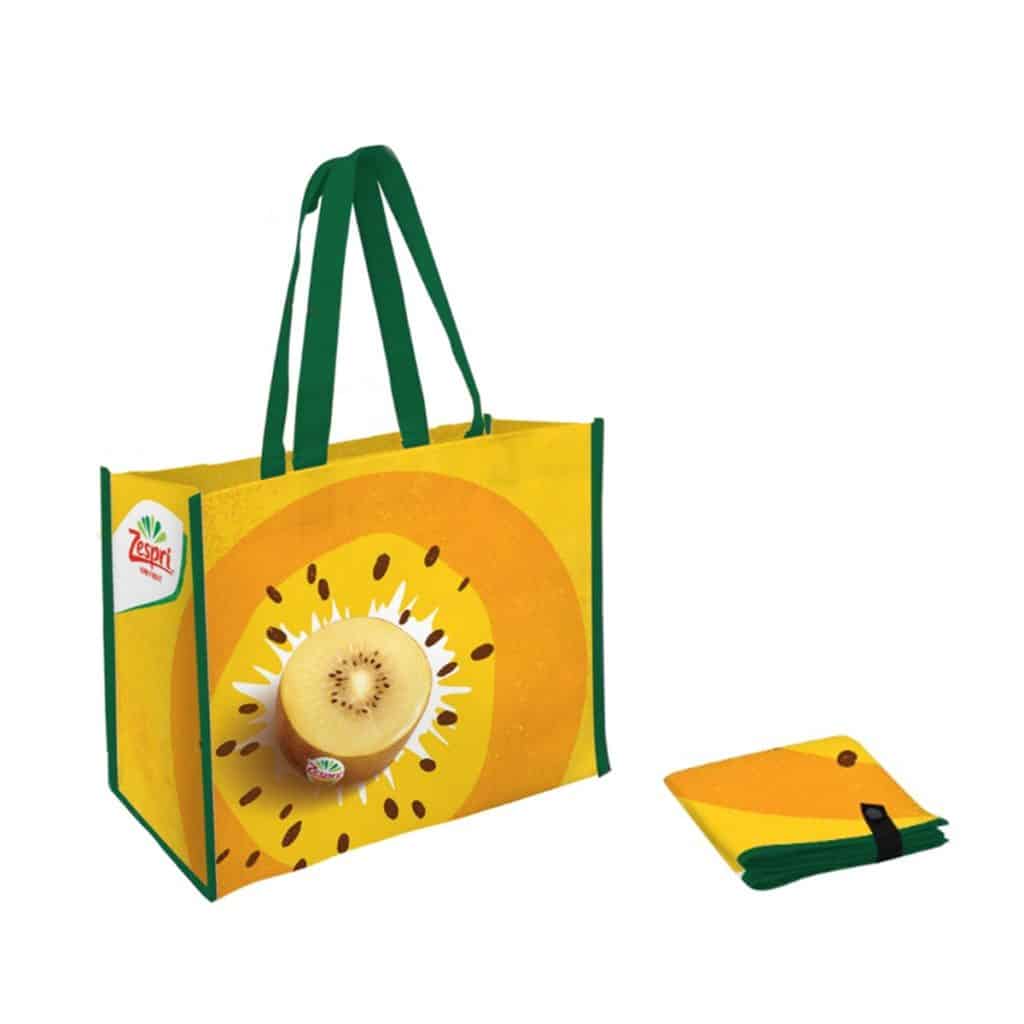 Foldable Non Woven Bag - DTC World
